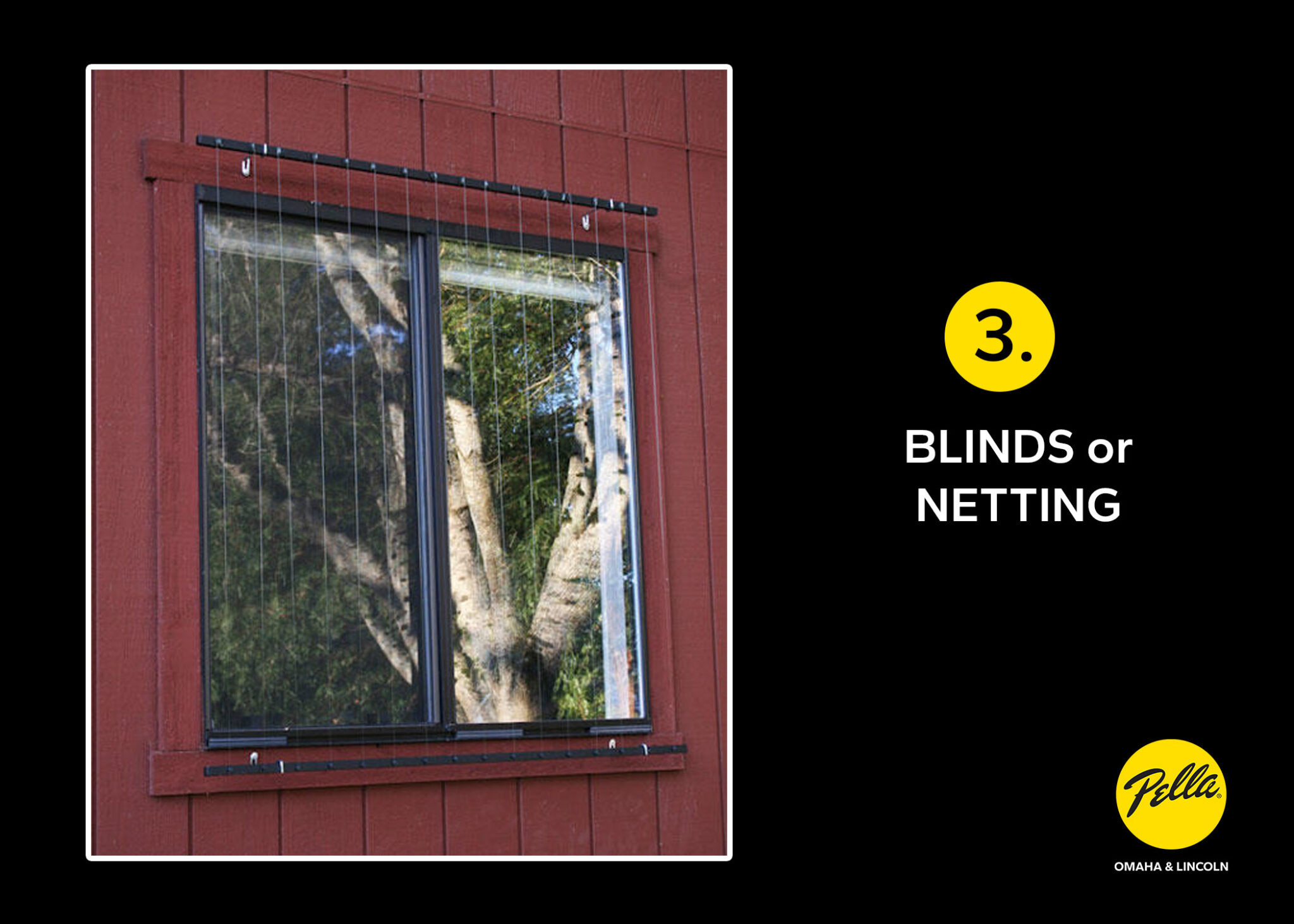 Stop Birds from Hitting Your Windows - Pella Windows & Doors of Omaha ...